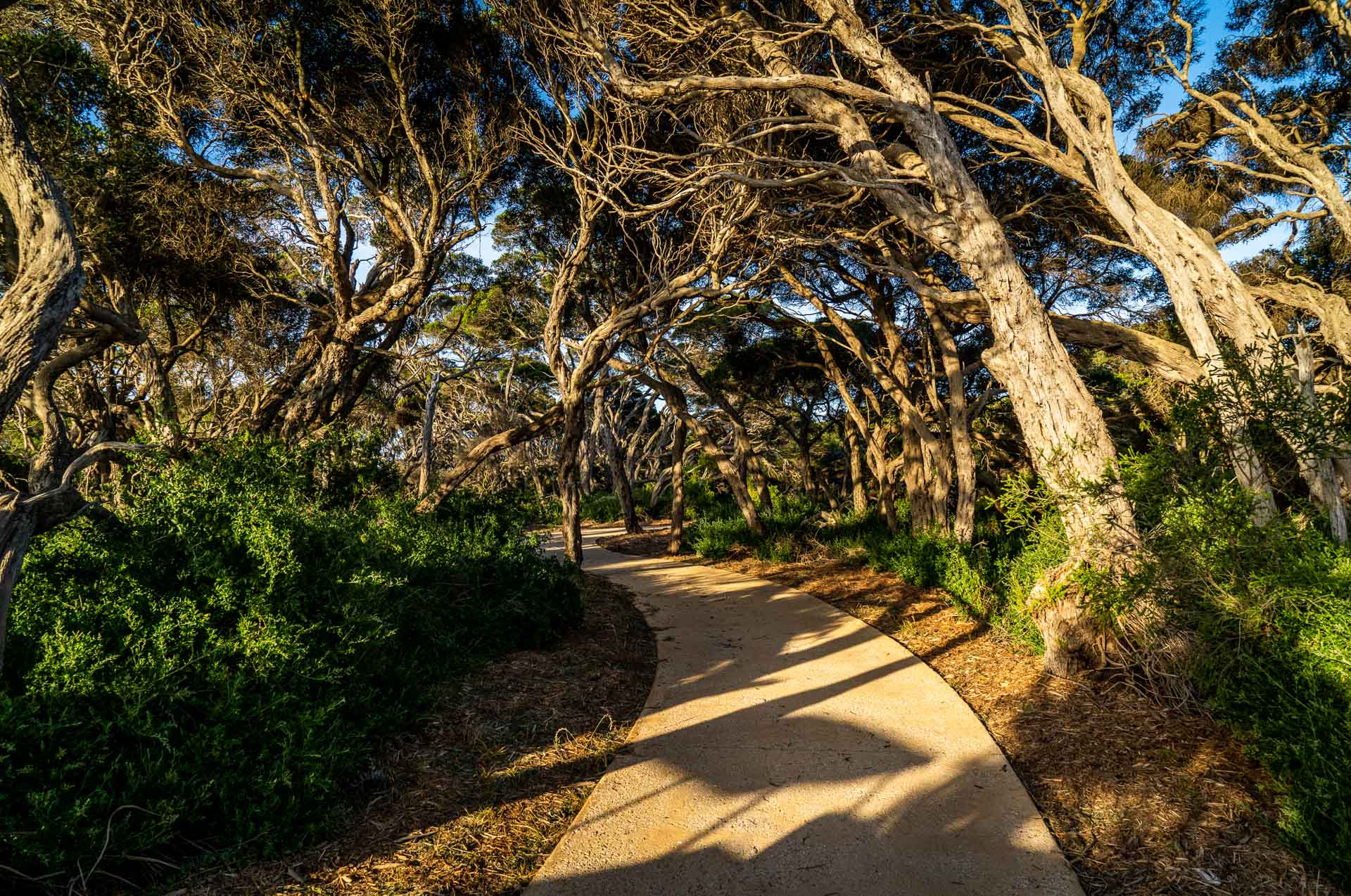 Lonsdale Links Point Lonsdale, Victoria - OCM Golf